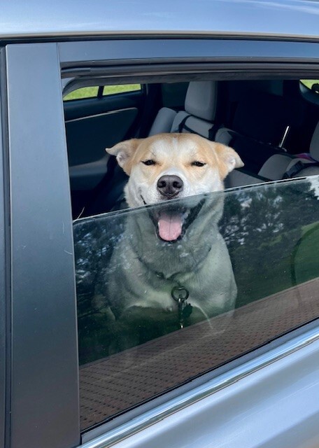 Kane County Connects