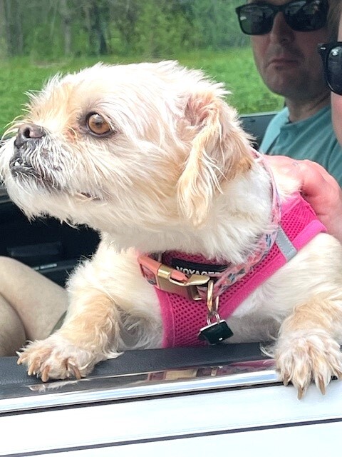 Kane County Connects