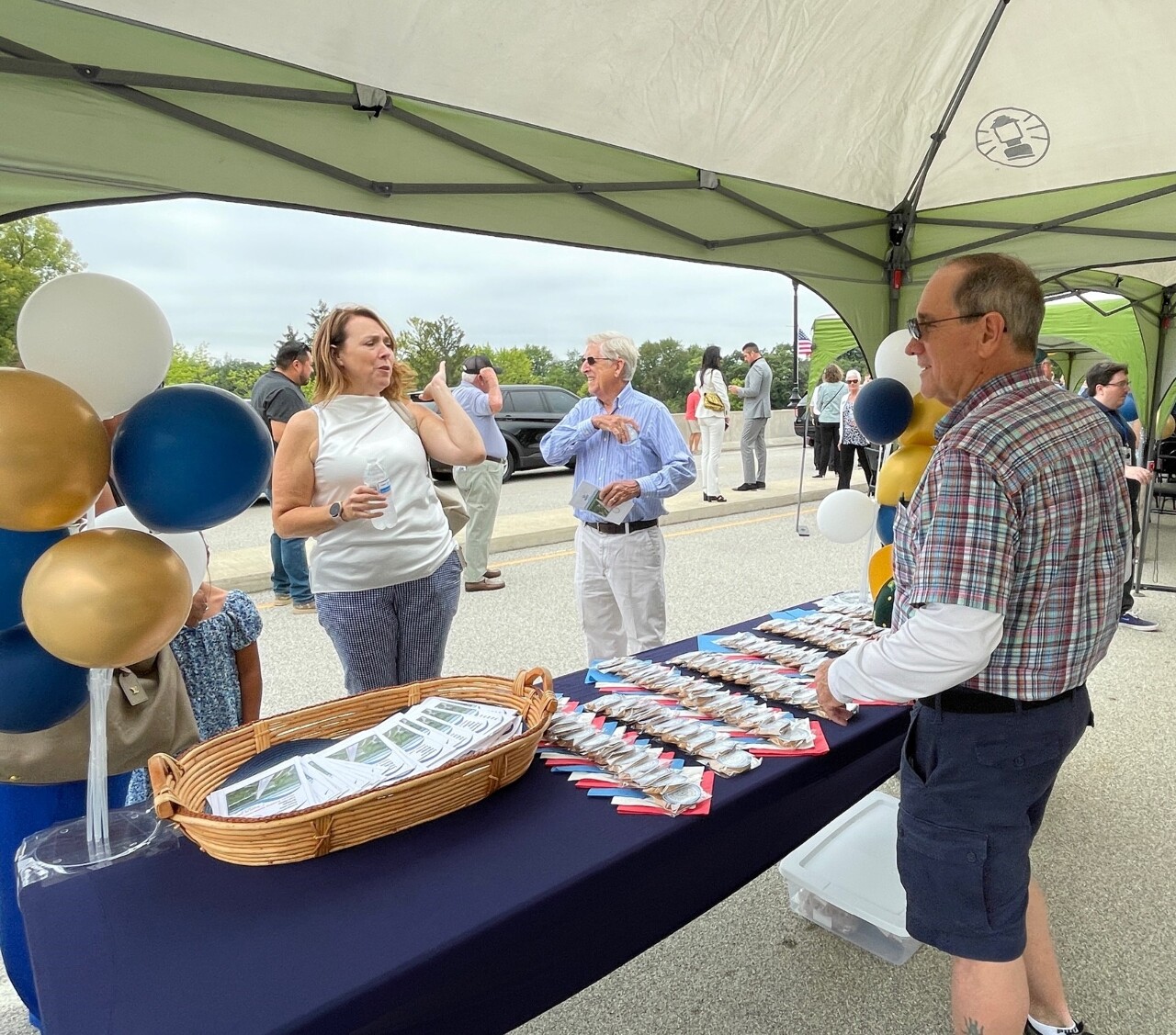 Kane County Connects