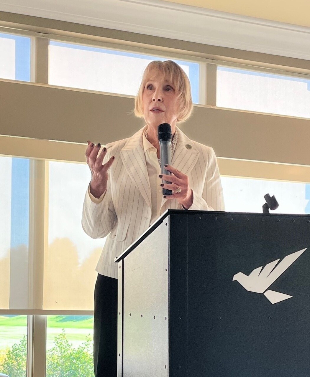 Kane County Connects