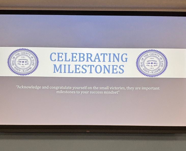 Kane County Connects