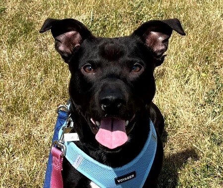 Kane County Connects