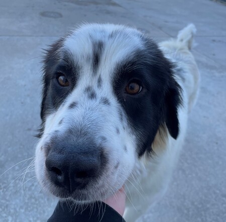 Kane County Connects