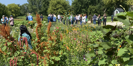 Kane County Connects