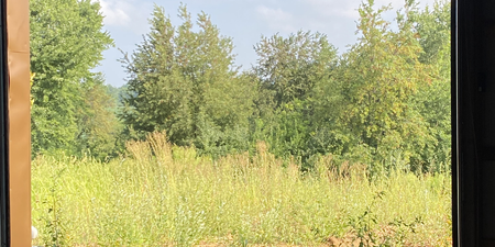 Kane County Connects