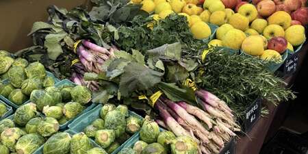 Kane County Government